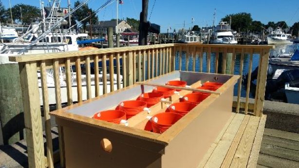 Hyannis Oyster Upweller | Barnstable Clean Water Coalition