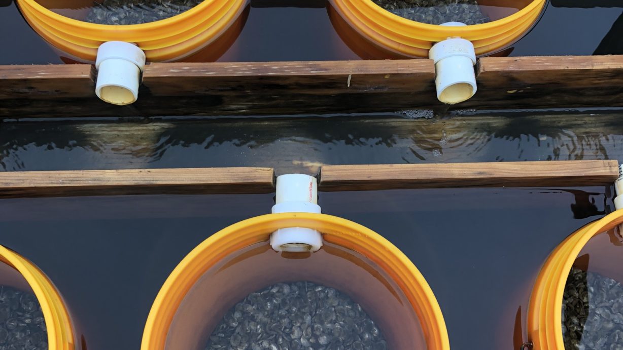 Hyannis Oyster Upweller | Barnstable Clean Water Coalition