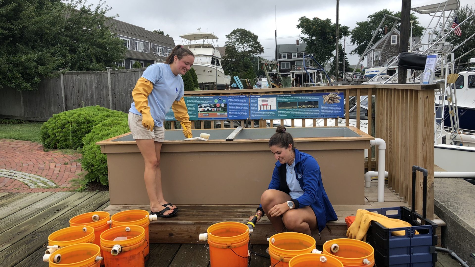 Hyannis Oyster Upweller | Barnstable Clean Water Coalition