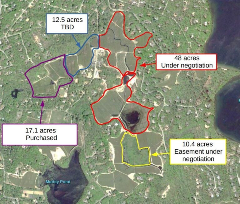Marstons Mills Cranberry Bog Restoration | Barnstable Clean Water Coalition